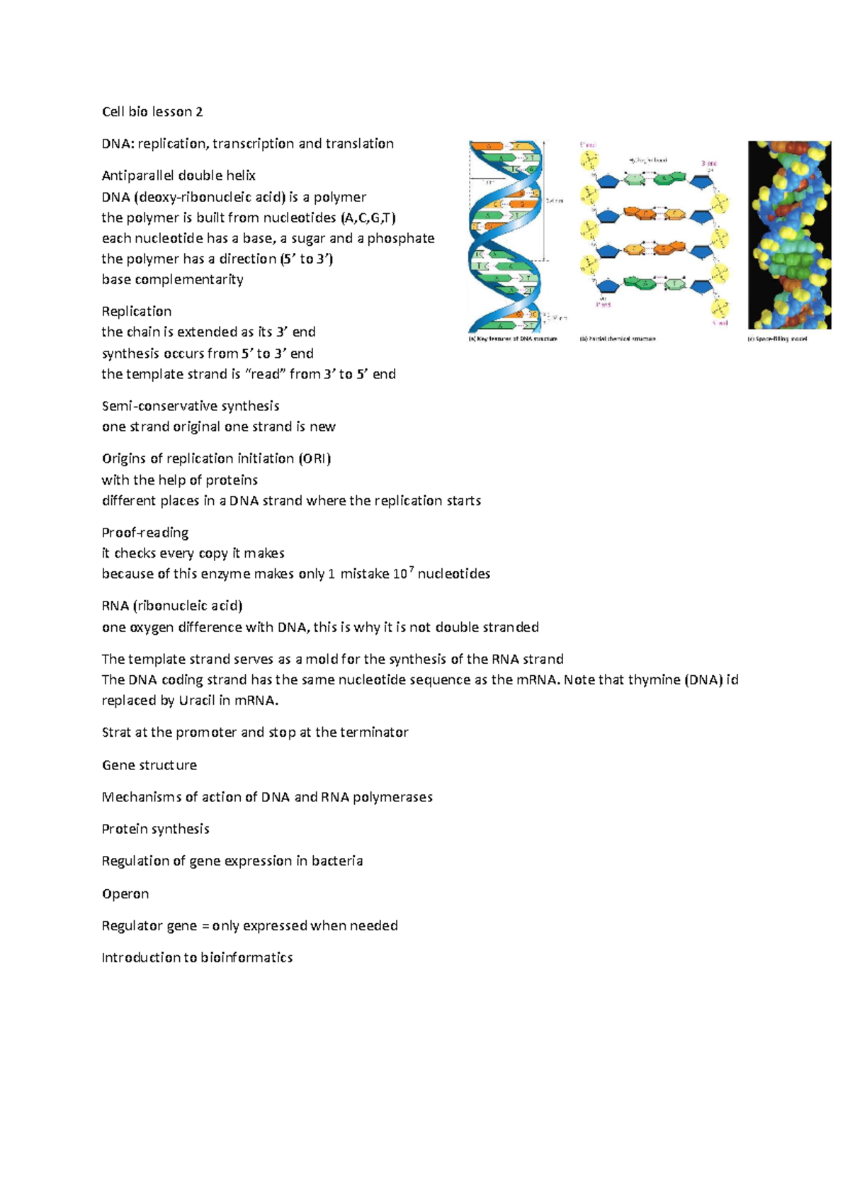 Cell bio lesson 2 - lecture 2 - Cell bio lesson 2 DNA: replication ...