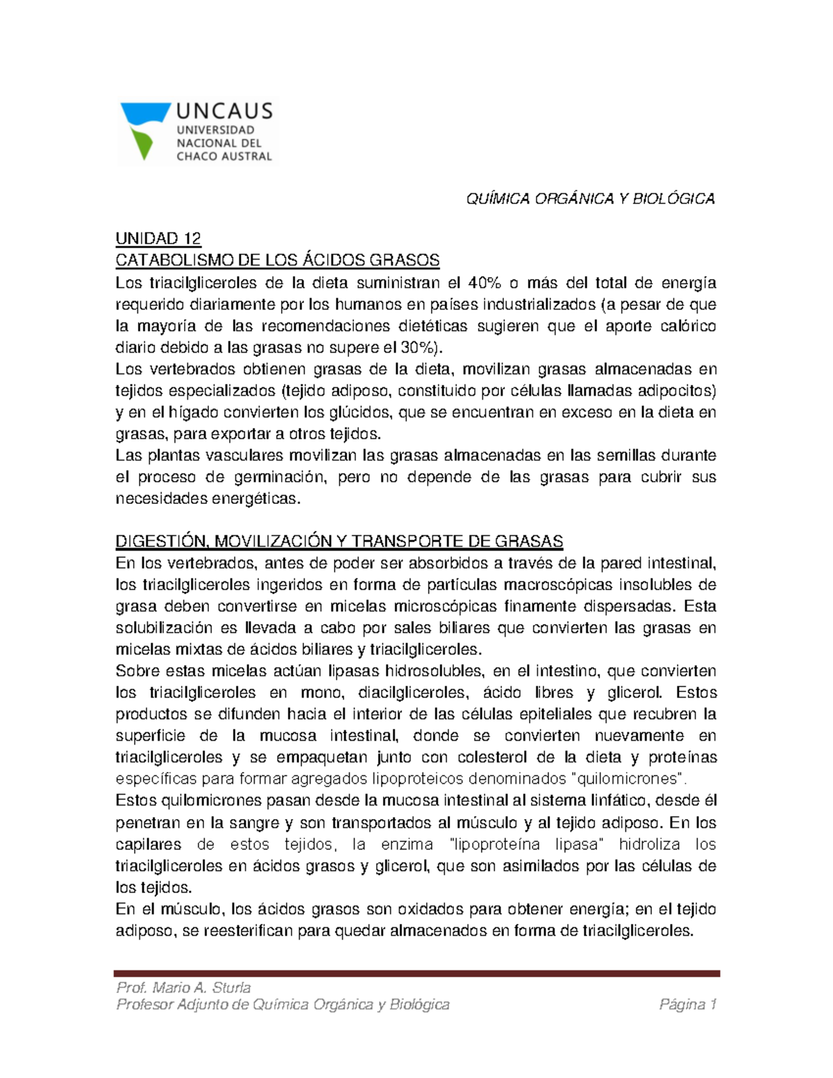 Unidad 12 Qca Org. y Bca - Prof. Mario A. Sturla UNIDAD 12 CATABOLISMO ...