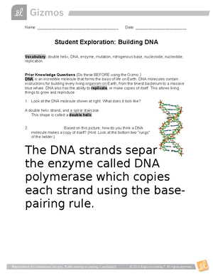Dna replication by amoeba sisters Student - Amoeba Sisters Video Recap ...