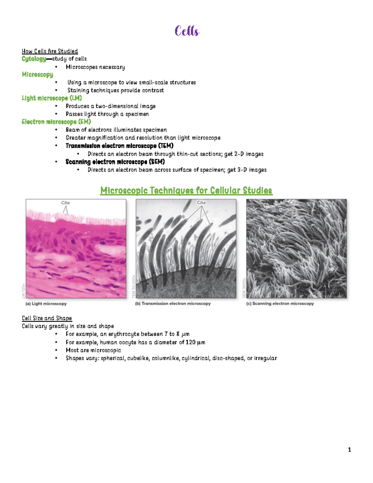 Anatomy-Unit2 - dwadwad - Cells How Cells Are Studied Cytology—study of ...