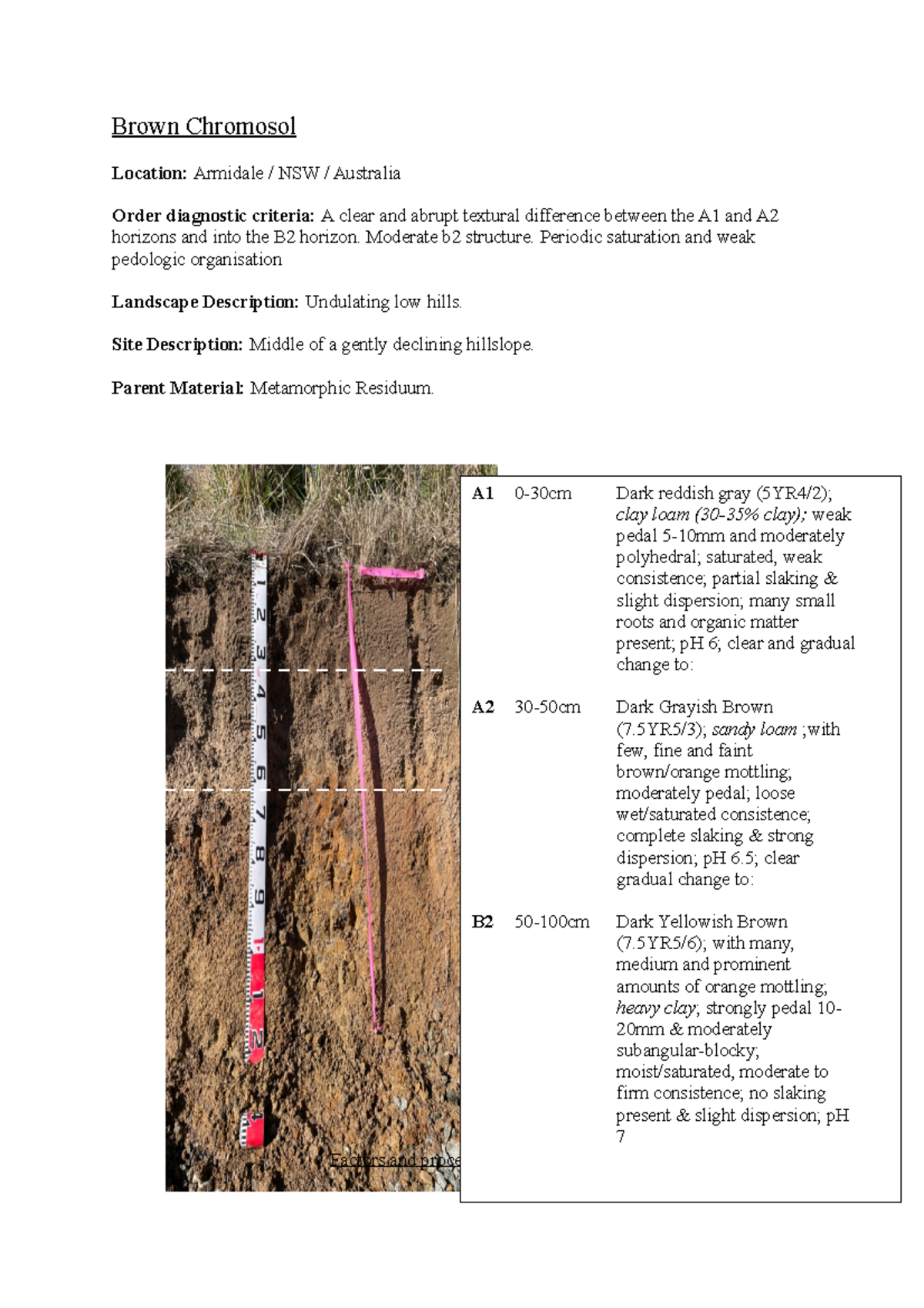 Soil 222 assignment 1 - soil - Brown Chromosol Location: Armidale / NSW ...