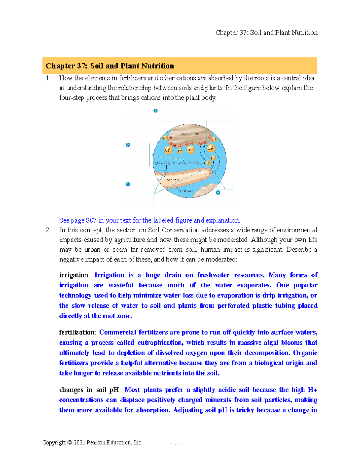 CH 37 Active Study KEY - Soil and Plant Nutrition - Chapter 37: Soil ...