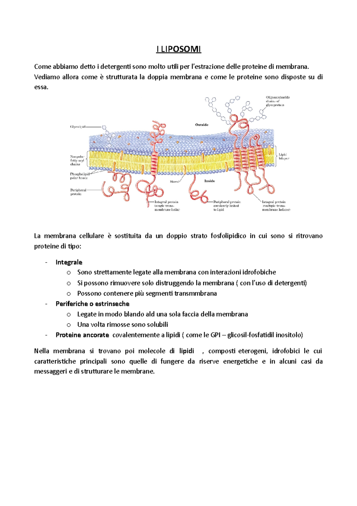 Appunti - Biochimica e biotecnologia delle proteine - Liposomi - a.a ...