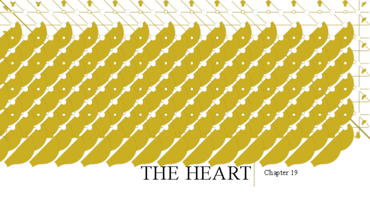 Chapter 19-A - Lecture Notes - THE HEART Chapter HUMAN HEART Human ...