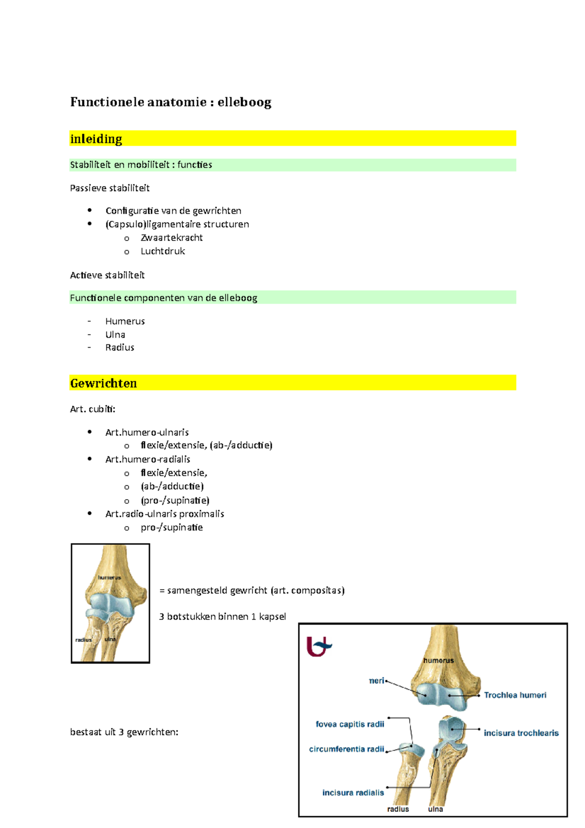 Functionele anatomie elleboog - Functionele anatomie : elleboog inleiding Stabiliteit en ...