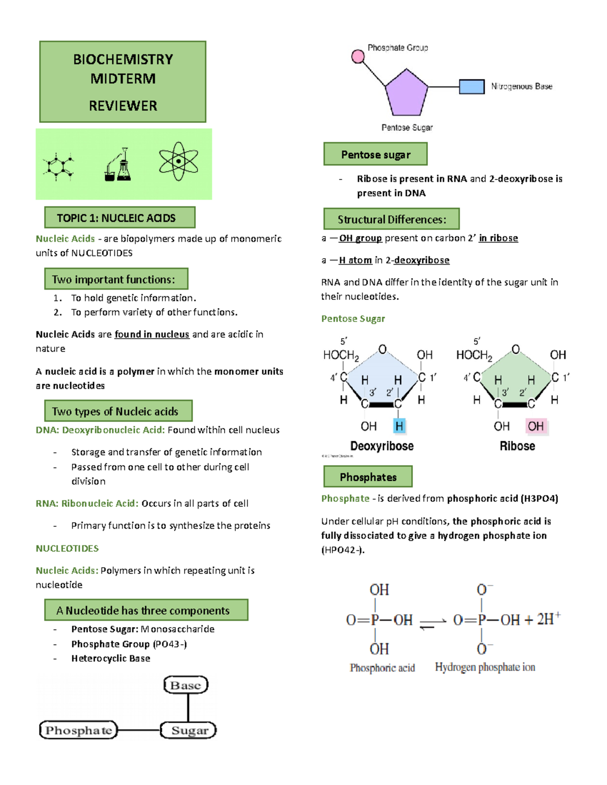 Biochem Midterm Reviewer Complete - Nucleic Acids - are biopolymers ...