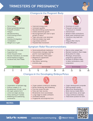 Maternal templates 2 - ACTIVE LEARNING TEMPLATES System Disorder ...