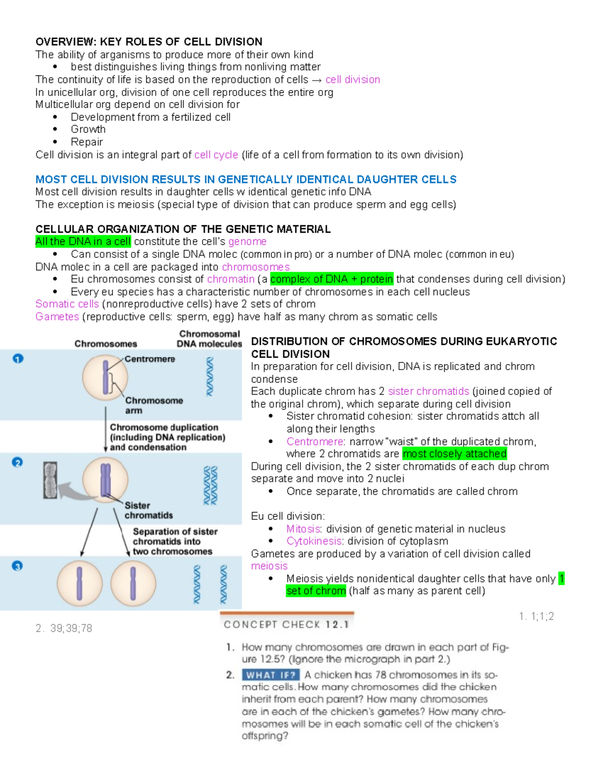 Chap 12 - Lecture notes 12 - OVERVIEW: KEY ROLES OF CELL DIVISION The ...