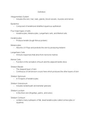 Clinical Anatomy - Abdomen - PA SCHOOL - Abdomen (Part 1) Anatomy of ...