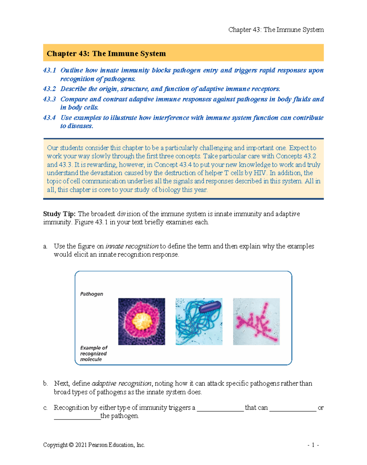 Bio12 ARG 43 - Please use it wisely thank you! - Copyright © 2021 ...