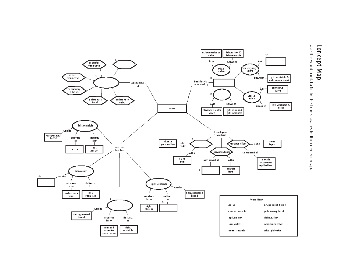 Laboratory 5-Concept Map - Use the word bank to ll in the blank spaces ...