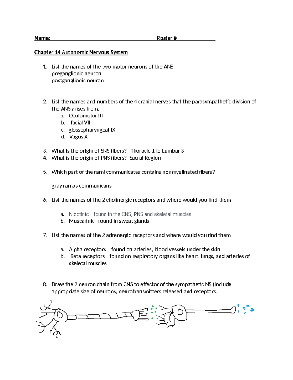 ANS worksheet - Name: Roster # _____________ Chapter 14 Autonomic ...