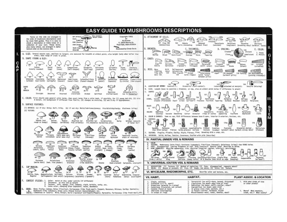 The Easy Guide to Mushroom Descriptions - 20090 - Evergreen - Studocu