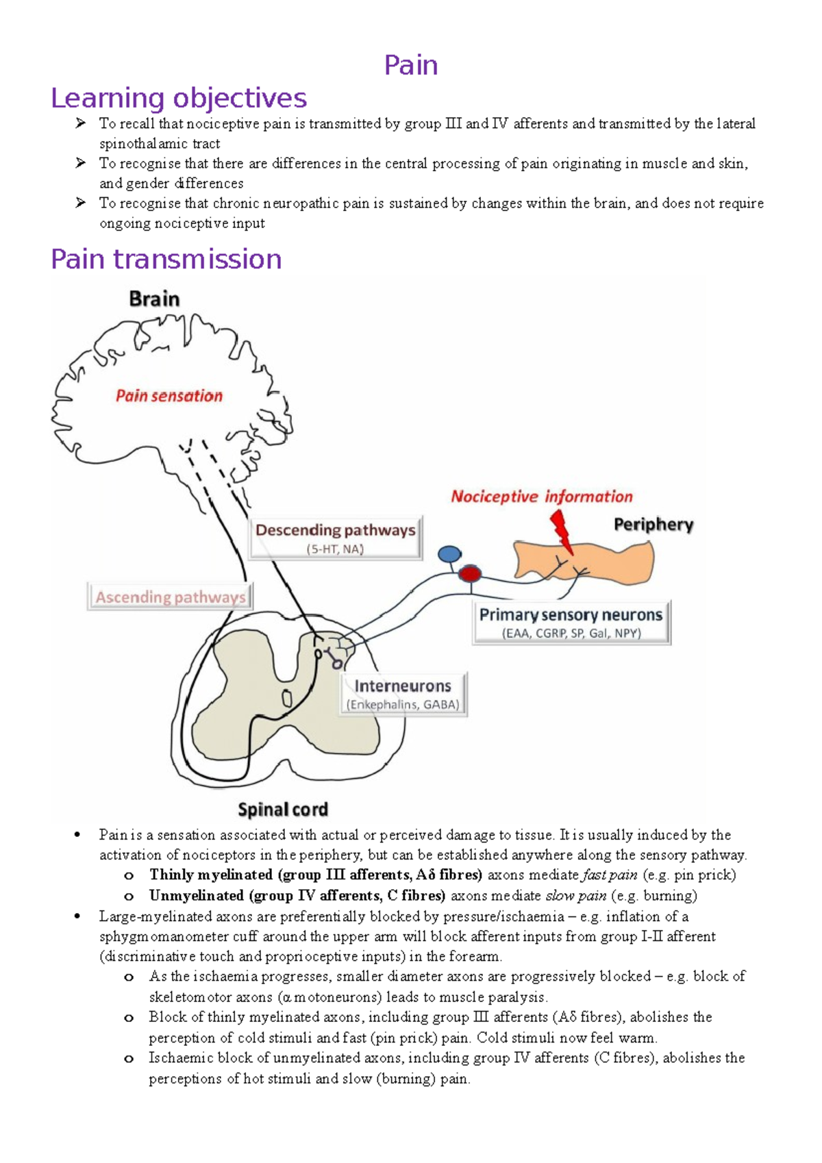 Pain - detailed notes on pain sensation - Pain Learning objectives To ...