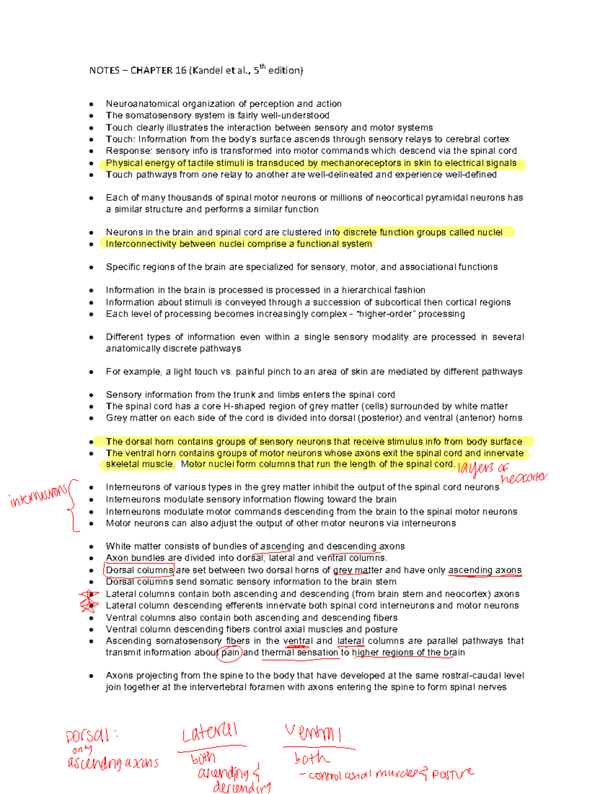 Perception & Movement Notes Ch. 16 - NOTES 3 CHAPTER 16 (Kandel et al ...