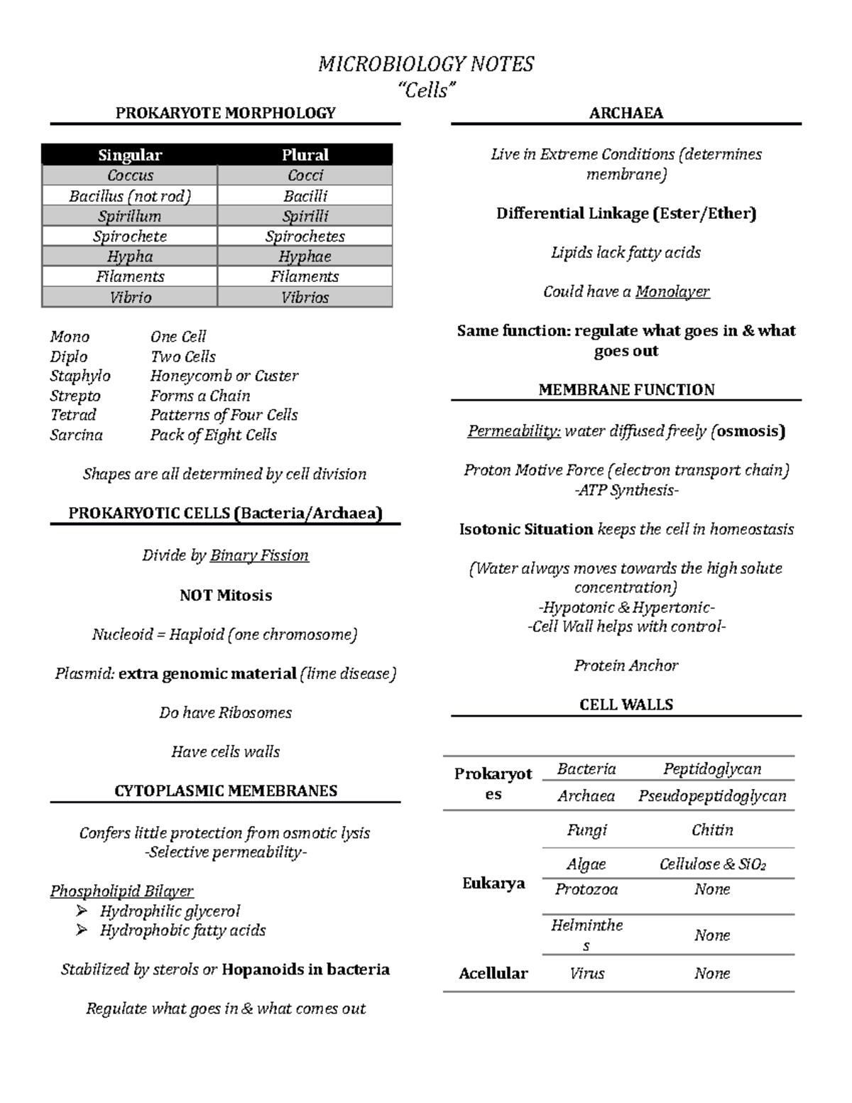 Microbiology Notes "Cells" - MICROBIOLOGY NOTES “Cells” PROKARYOTE ...