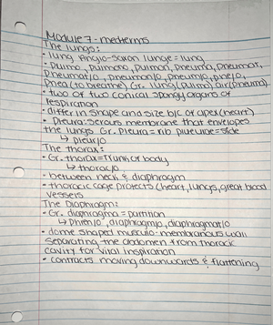 Medterms module 12 - Med-terms Module 12: The sense organs The five ...