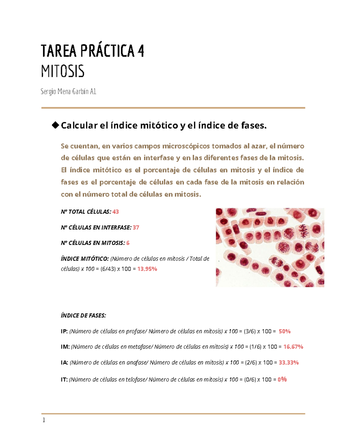 Indice Mitotico Indice de Fases - Microbiología II - UMA - Studocu