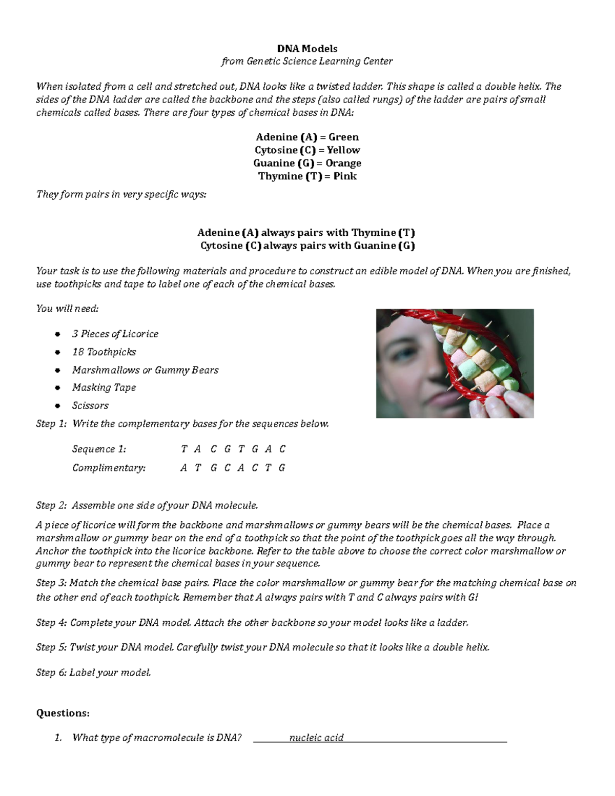 DNA Candy and Replication Lab - DNA Models from Genetic Science ...