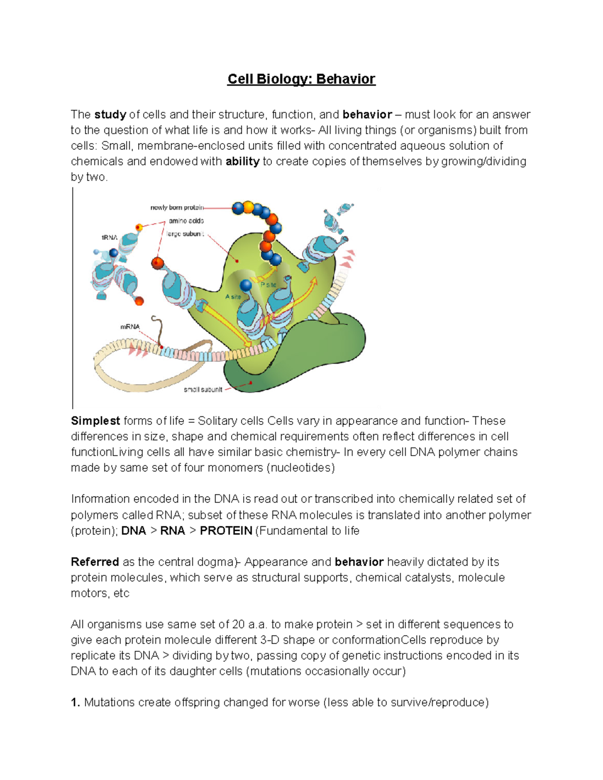 Cell Biology Behavior - Cell Biology: Behavior The study of cells and ...