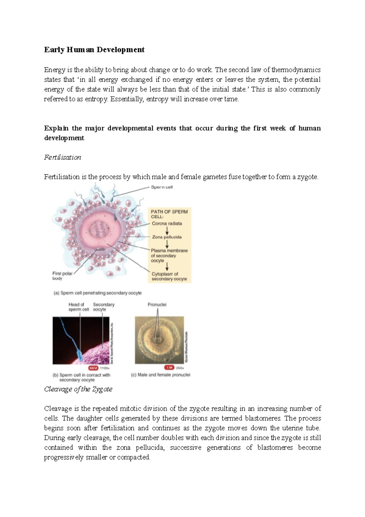 Early Human Development - Early Human Development Energy is the ability ...