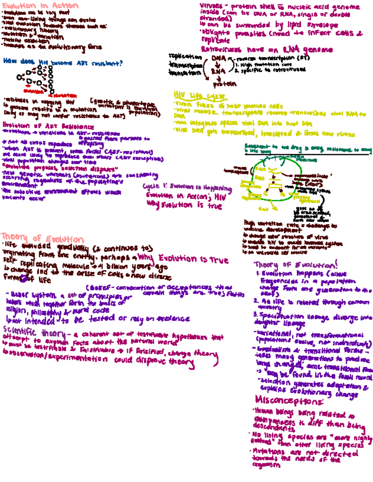 Bio-Summary Of Cycles - Brain-cloud of concepts for evolution! It is ...