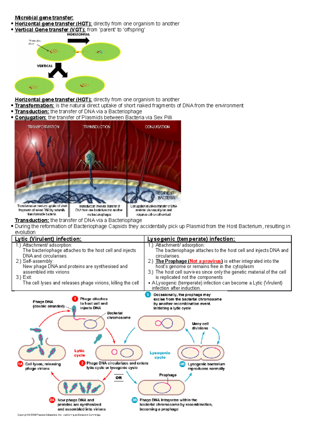 CELS 191 - Lecture 35 (Microbial genetics - microbes and medicine ...