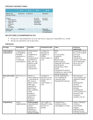 PAE - Pae, proceso - Formato PES Los diagnósticos de enfermería se ...