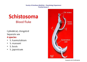 Parasitology section 3 - Biology Of Bacteria - Studocu