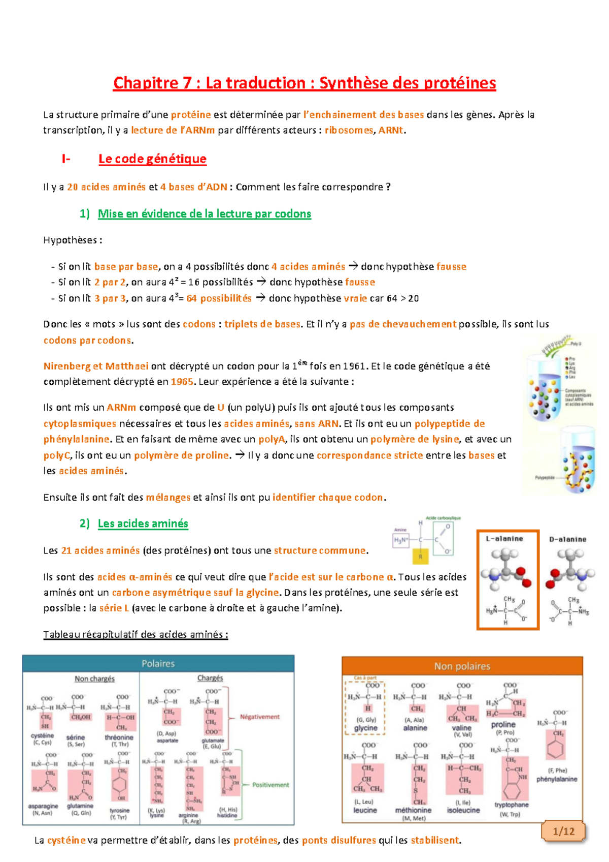 Chap 7 La traduction - Chapitre 7 : La traduction : Synthèse des ...