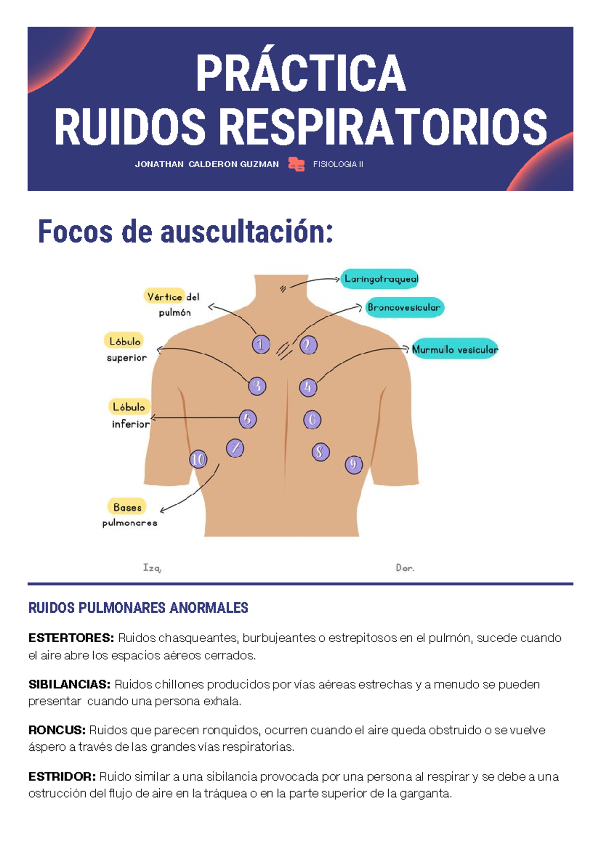 Ruidos pulmonares - RUIDOS PULMONARES ANORMALES ESTERTORES: Ruidos ...