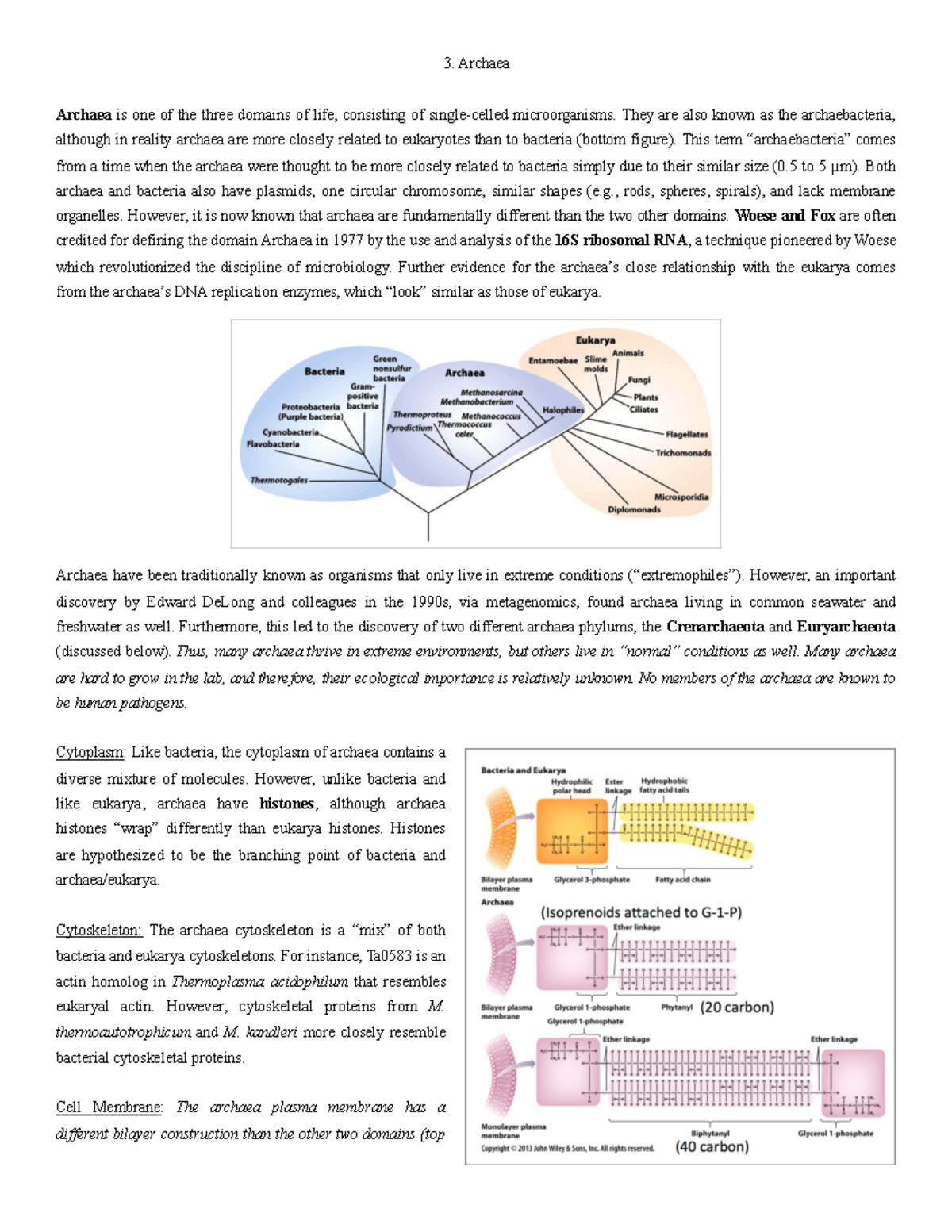 BIO 315 Archaea Summary - Archaea Archaea is one of the three domains ...