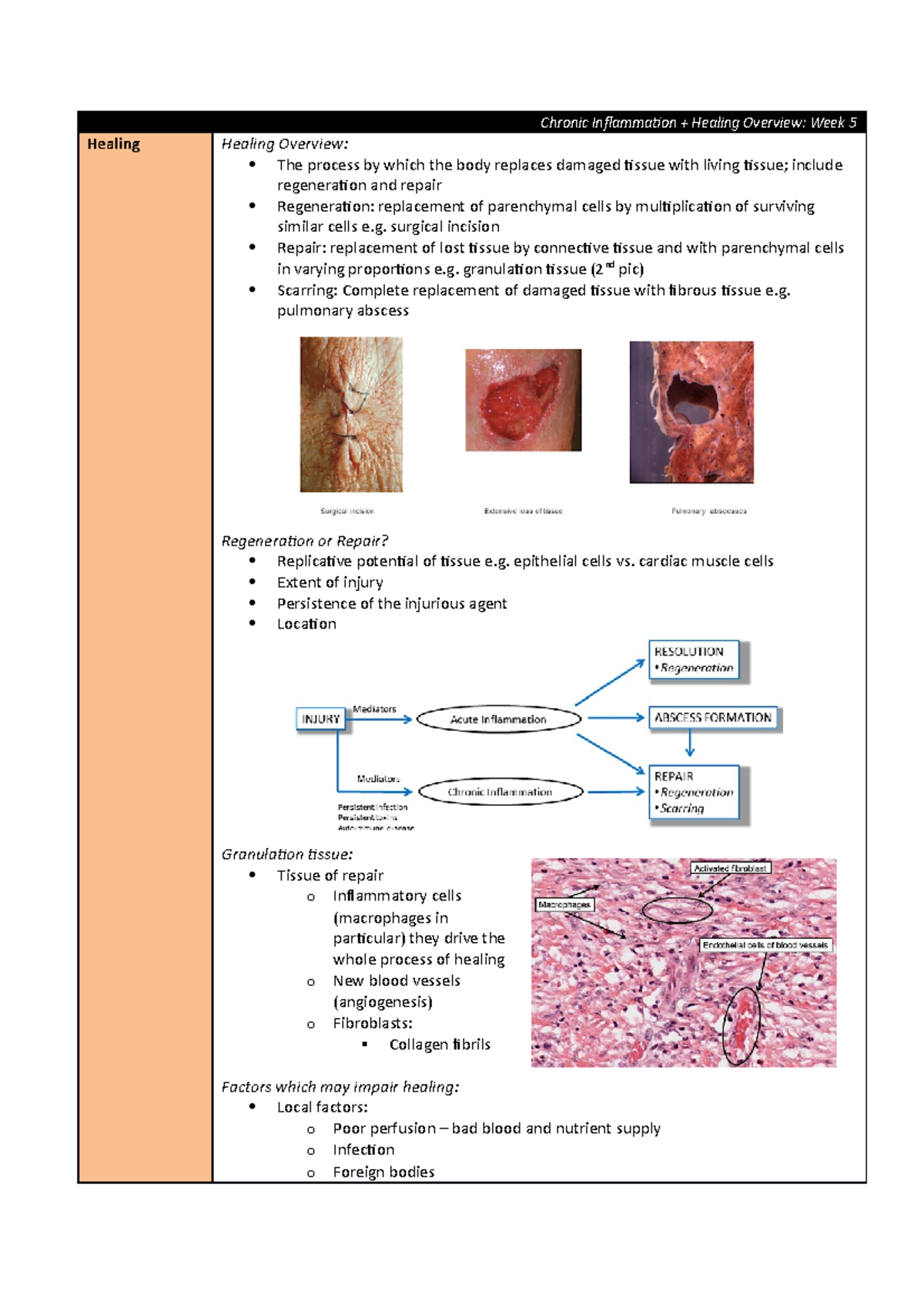 Chronic Inflammation & Healing overview - surgical incision Repair ...
