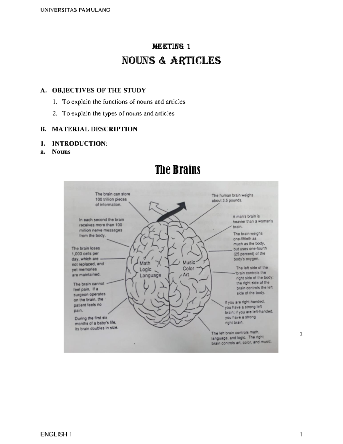 English 1 - Meeting 1 - structure nouns articles - Meeting 1 NOUNS ...