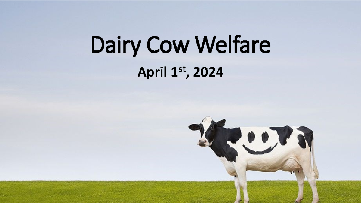 Lecture 15. Dairy Cow Welfare - Dairy Cow Welfare April 1 st , 2024 ...