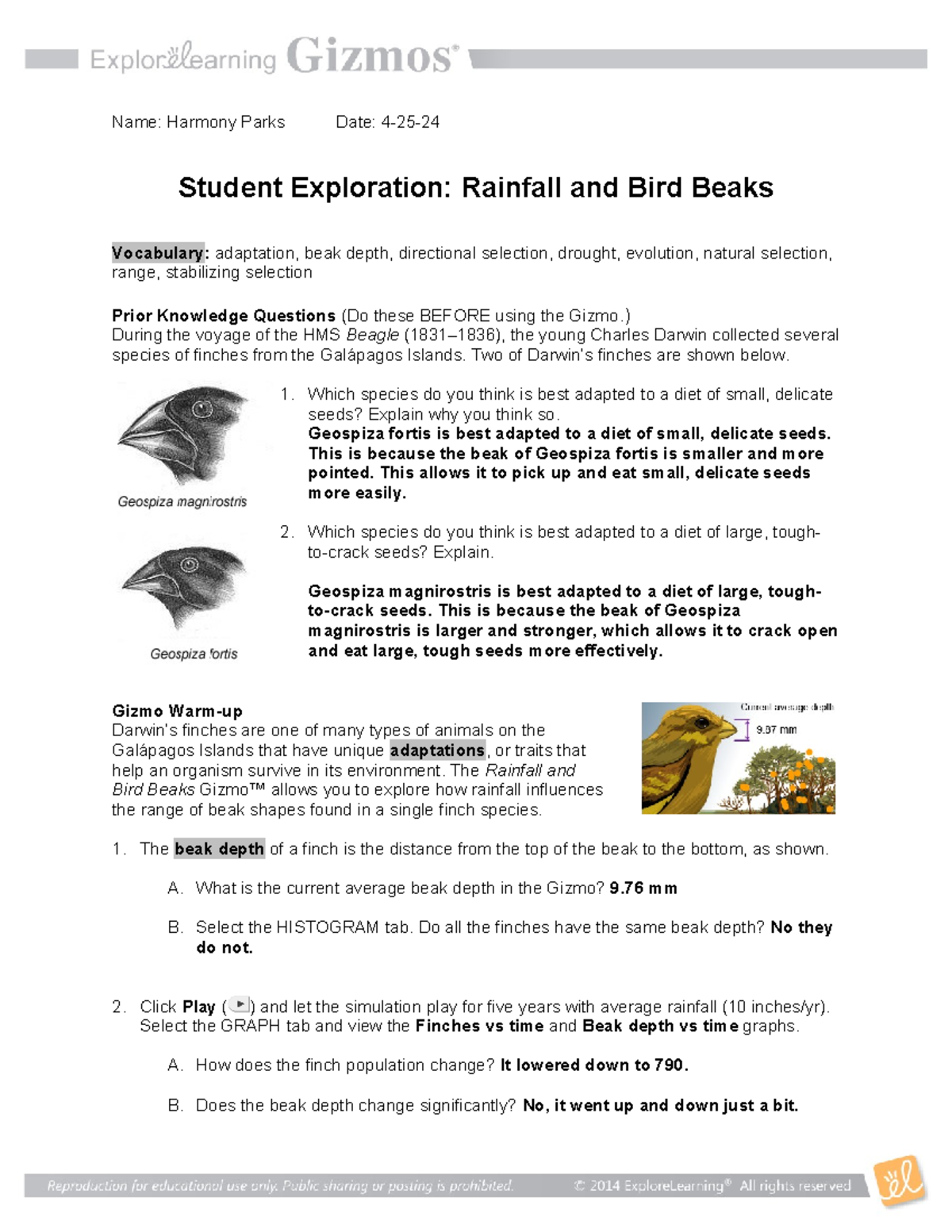 Rainfall Bird Beaks SE - gmltrh - Name: Harmony Parks Date: 4-25 ...