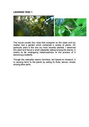 Music Learning Competencies Grade 1 6 - MUSIC GRADE 1 QUARTER 1 Sings ...