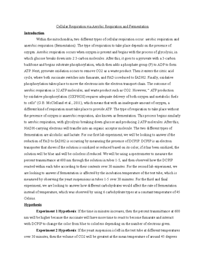 Digestive System Lab Report - A Study of Some Digestive Enzymes: Starch ...