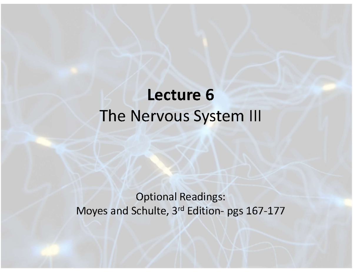 Lecture 7 - Nervous System IV slides - Lecture 6 The Nervous System III ...