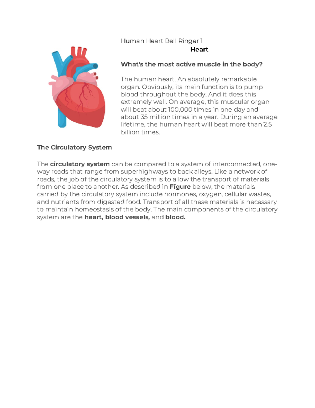 [Template] Copy of [Template] Copy of Human Heart Bell Ringer 1 - Human ...