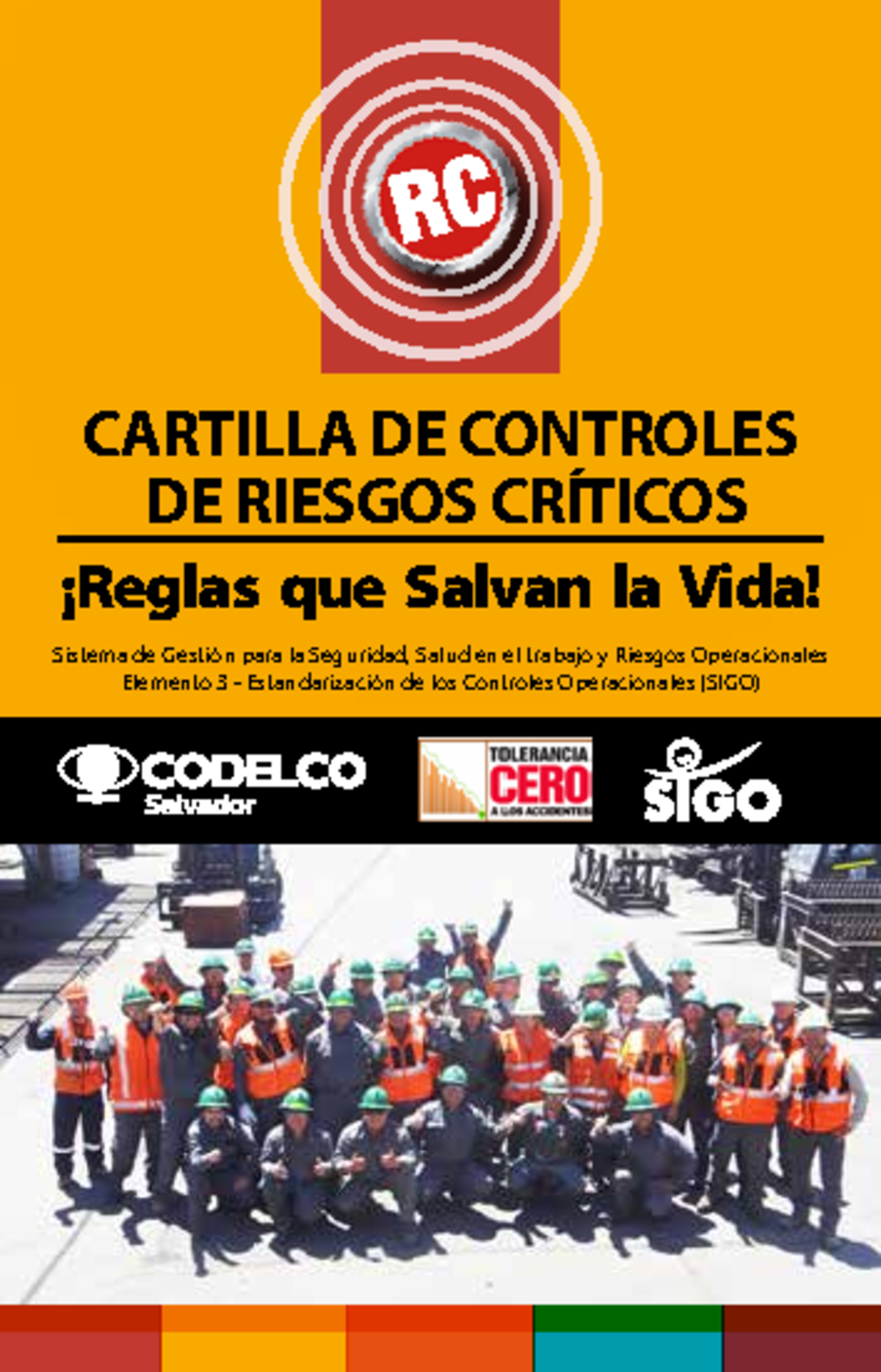 Cartilla riesgos criticos - ¡Reglas que Salvan la Vida! Sistema de ...