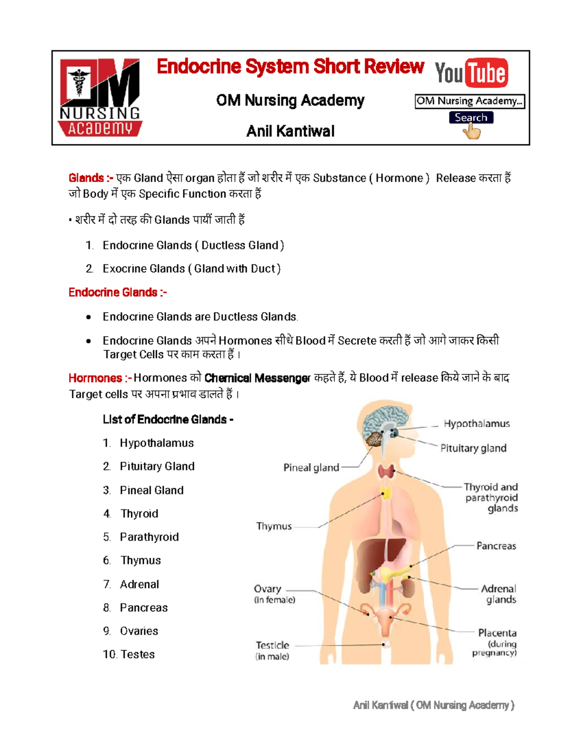 Endocrine System -Short review original - Glands :- एक Gland ऐसा organ ...