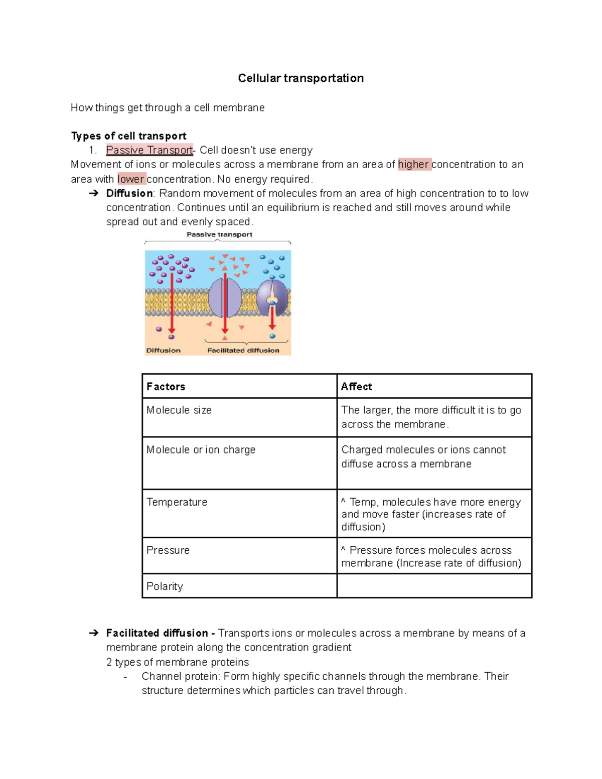 Cellular transportation - Passive Transport- Cell doesn’t use energy ...