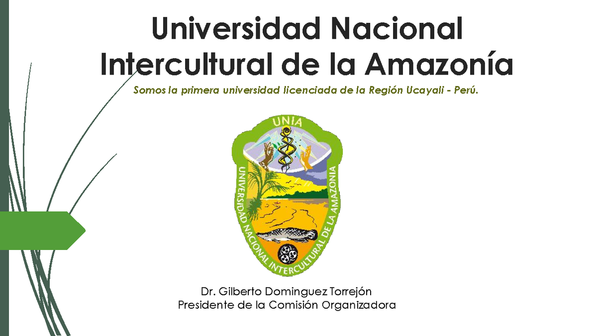 Creación -UNIA - sdadasd - Universidad Nacional Intercultural de la ...