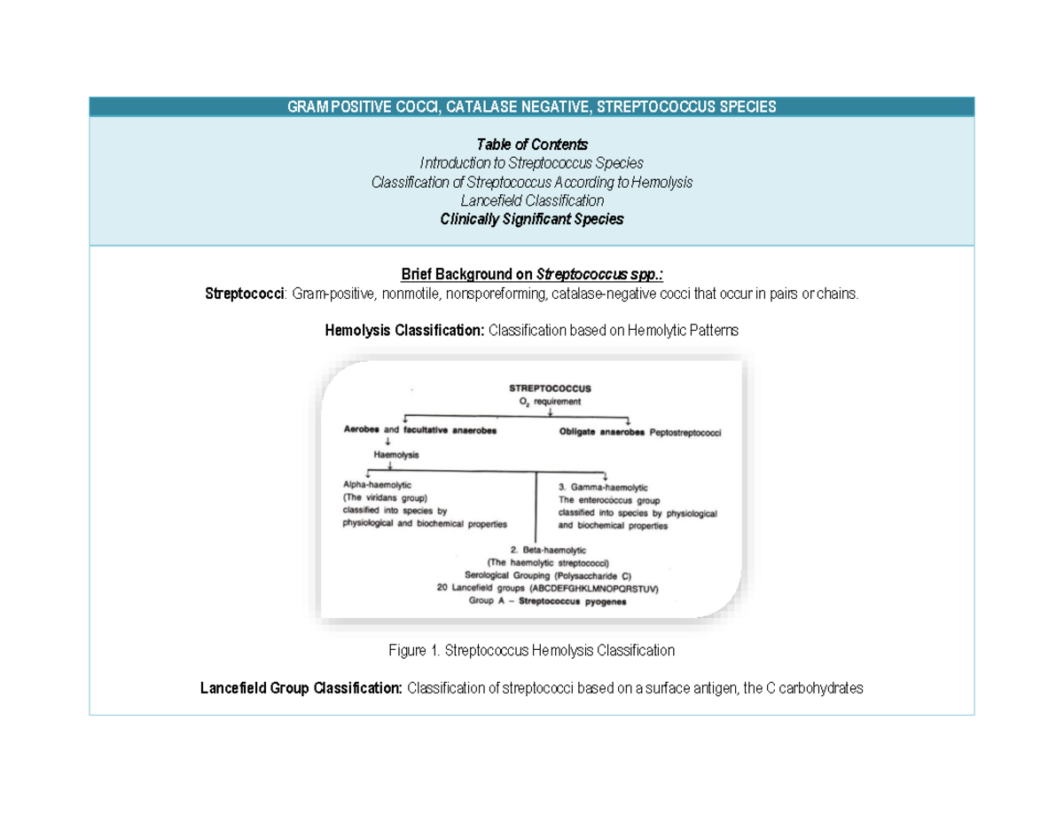 Streptococcus Species - GRAM POSITIVE COCCI, CATALASE NEGATIVE ...