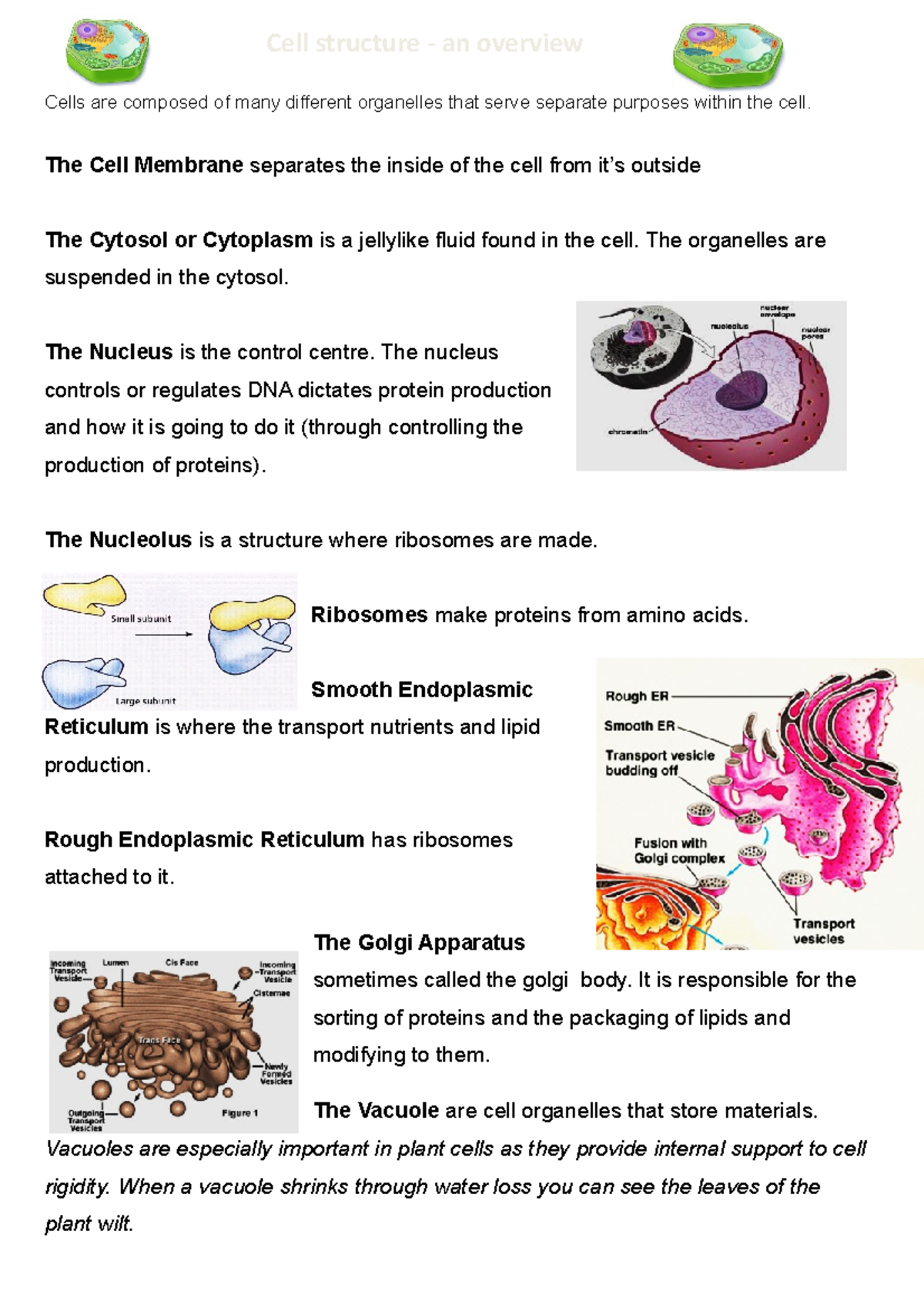 Cells, Membranes and Membrane Transport Summary - Cells are composed of ...