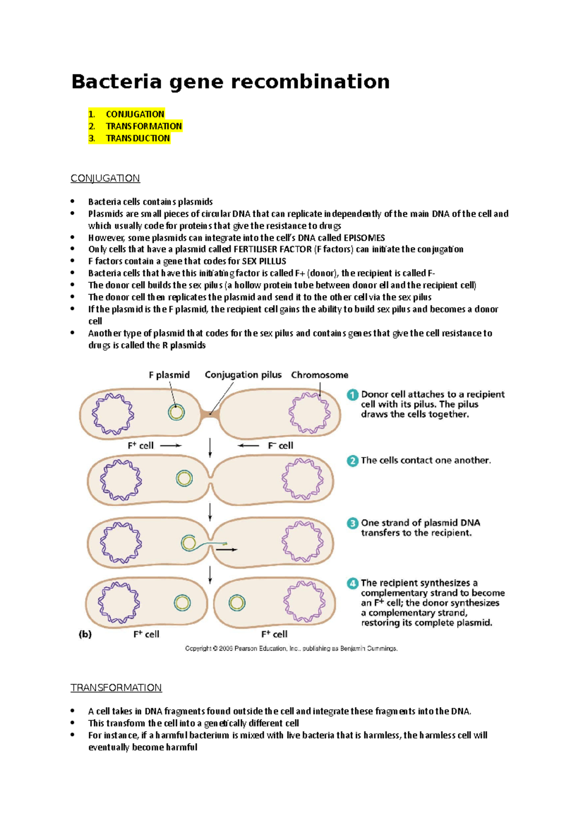 Bacteria gene recombination - CONJUGATION 2. TRANSFORMATION 3. TRANSDUCTION CONJUGATION Bacteria ...