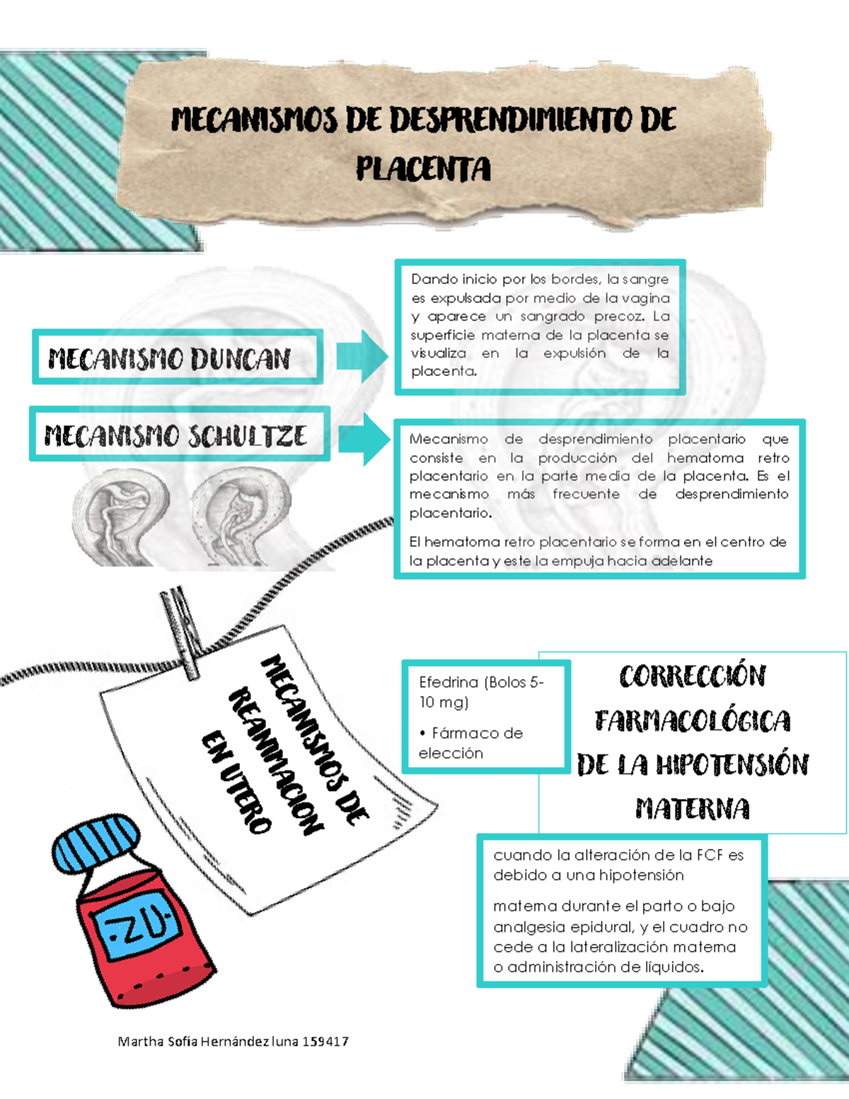 Mecanismos de Desprendimiento de Placenta - Martha Sofía Hernández luna ...