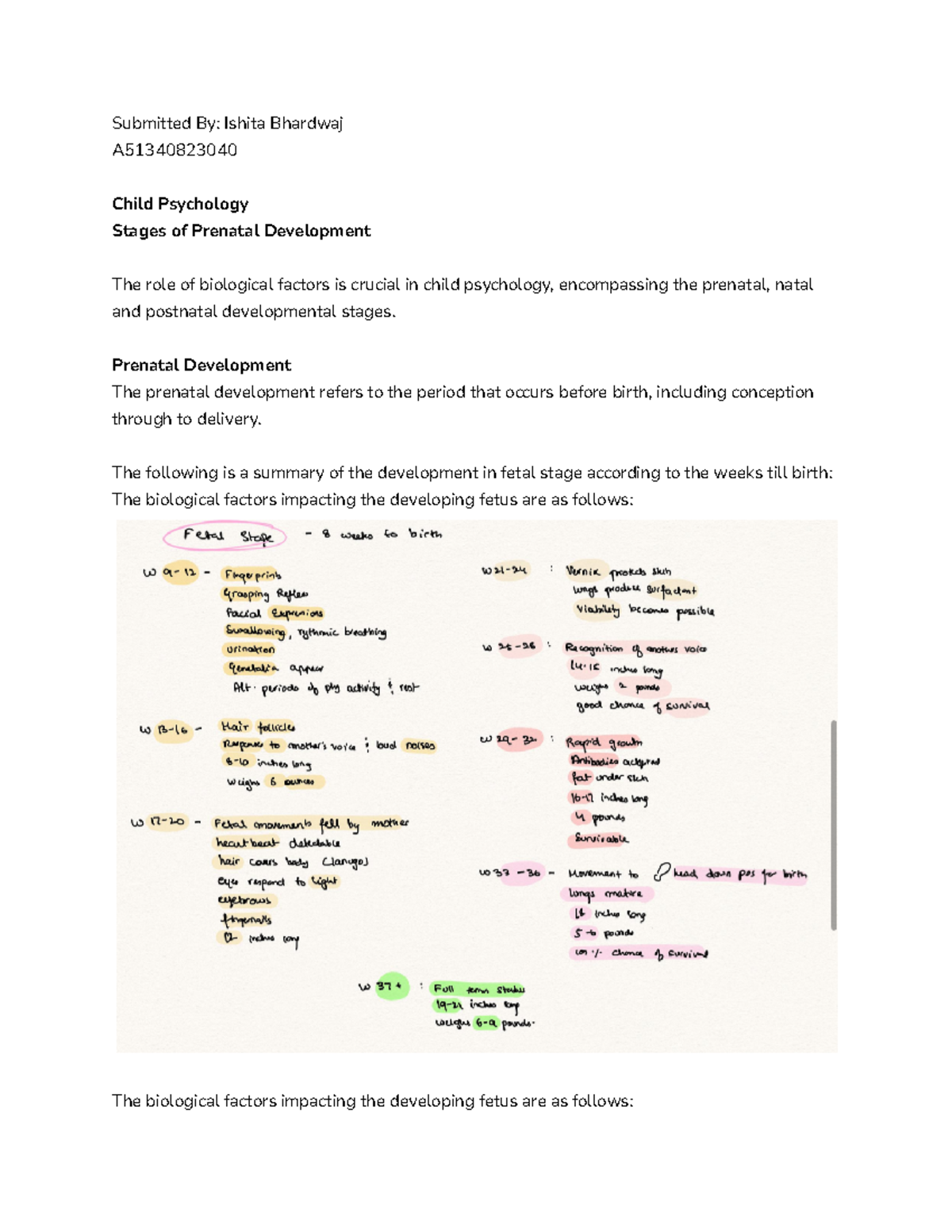 Prenatal Stage Developmental Psychology - Submitted By: Ishita Bhardwaj ...