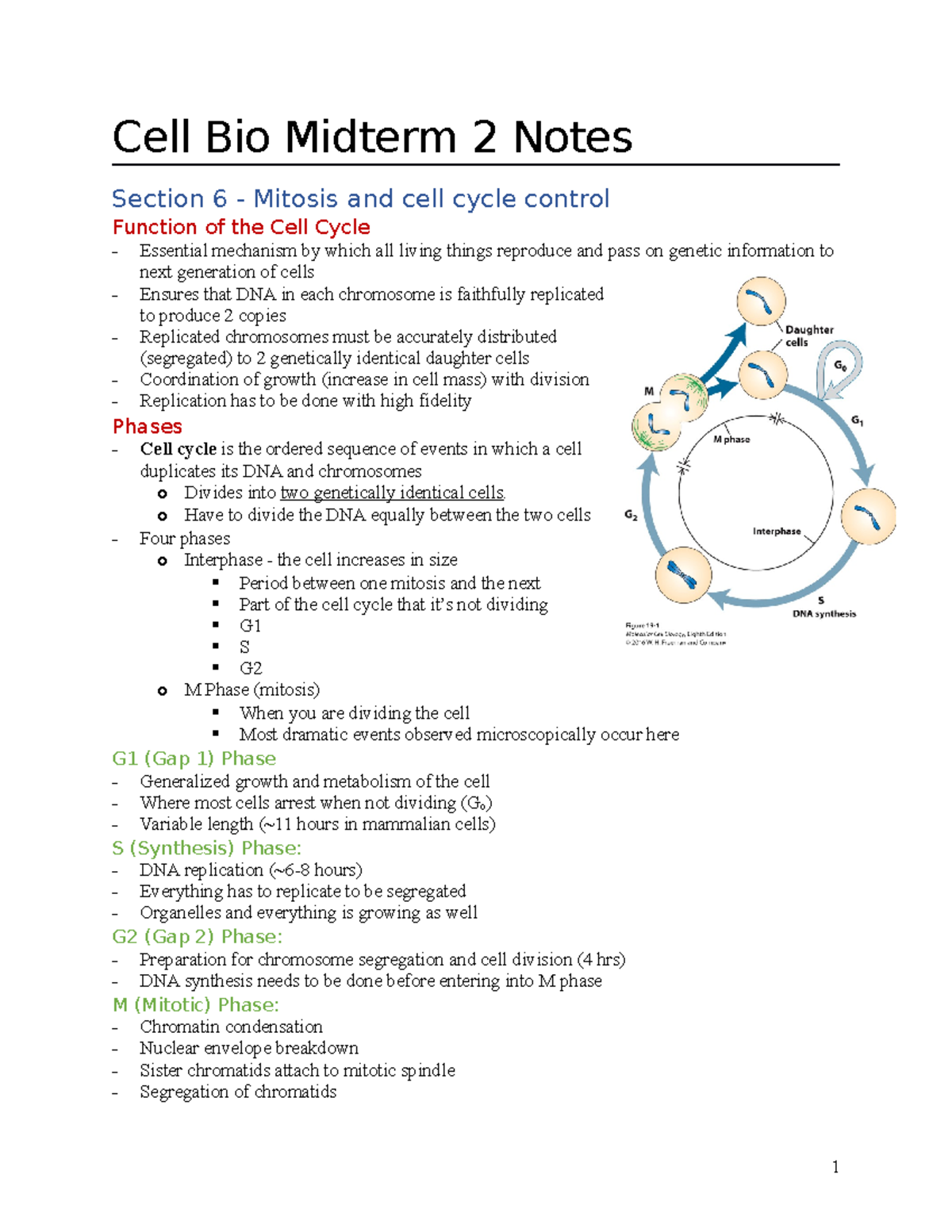 Cell Bio Notes - The Second half of the course - Cell Bio Midterm 2 ...